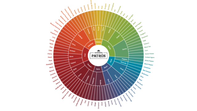 Academia Patrón | Tequila Tasting Wheel